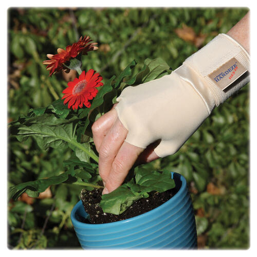 Dome Handeze Therapeutic Activity Glove | WholesaleCleaningSupplies.com