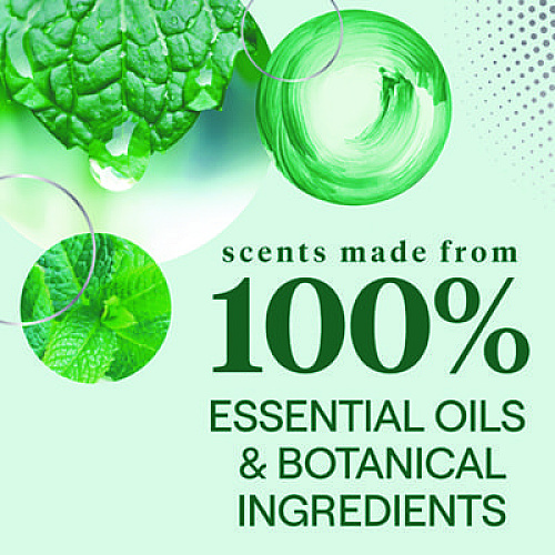 Seventh Generation Toilet Bowl Cleaner, Fresh Mint Scent, 24 oz Bottle ...