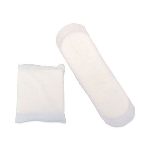 HOSPECO Generic Packaged Sanitary Pads, Regular Absorbency, 500/Carton ...